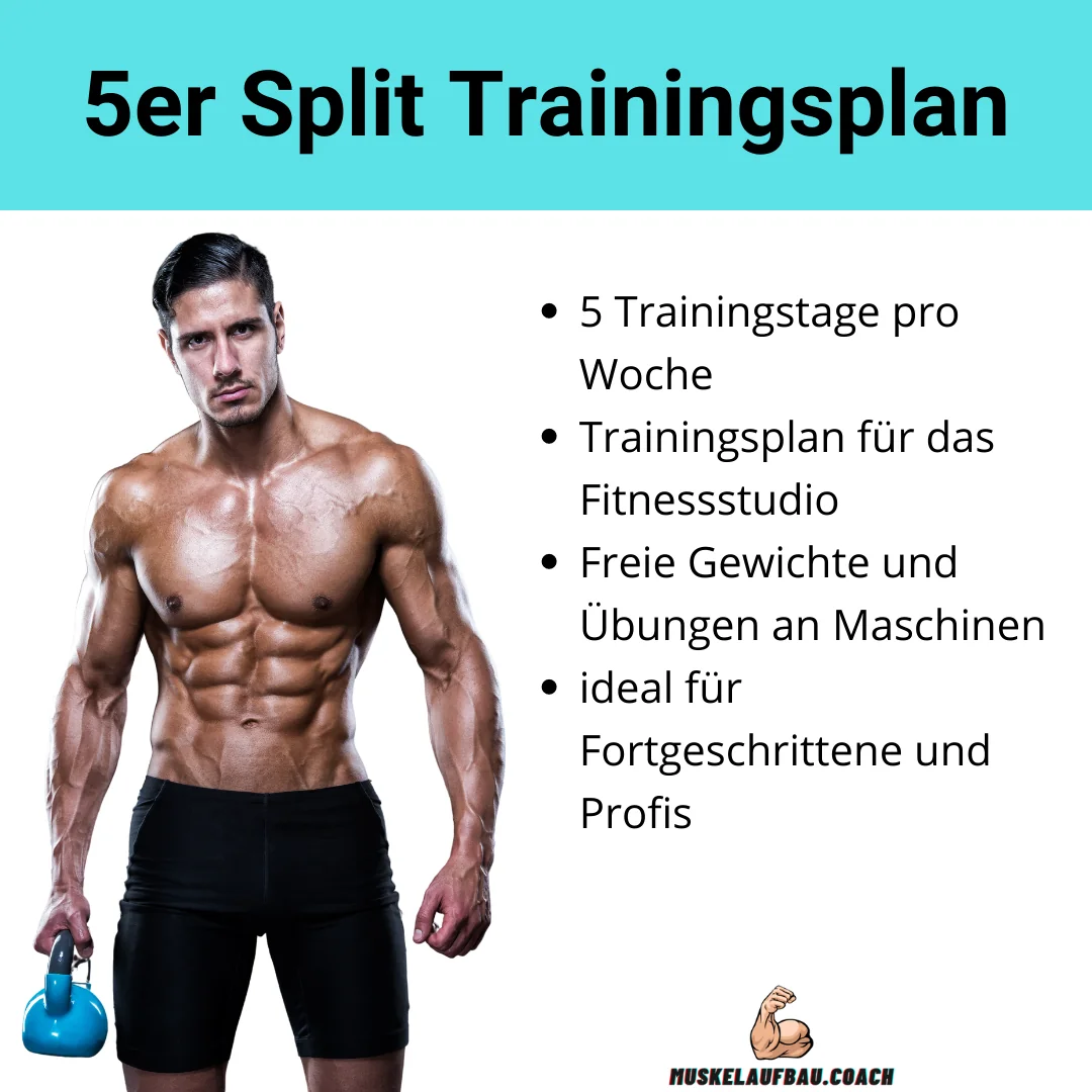 5er Split Trainingsplan | Muskelaufbau.Coach